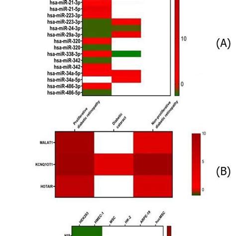 heatmaps of common noncoding rnas as putative markers for diabetes