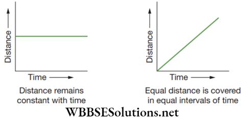 NEET Foundation Notes For Physics Chapter Motion WBBSE Solutions