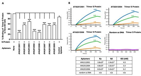 High Affinity Neutralizing Dna Aptamers Against Sars Cov 2 Spike