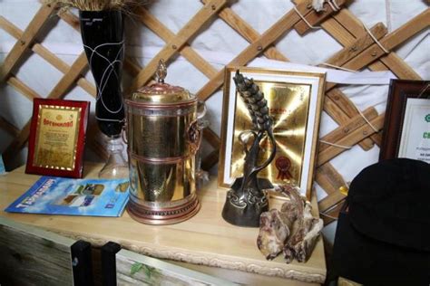 УЛСЫН ТЭРГҮҮНИЙ ТАРИАЛАНЧ ХАМТ ОЛНООР ТҮМЭН БУУДАЙ ХХК ТОДОРЛОО