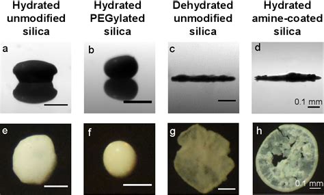 Figure 1 From Surface Properties Of Colloidal Particles Affect Colloidal Self Assembly In