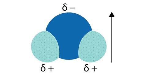 Water Properties Polarity And Role As A Universal Solvent
