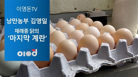 낭만농부 김영일 5 재래종 닭의 ‘마지막 계란 전라북도 진안 Gmo유전자변형농산물을 먹이지 않고 순수 천연먹이쌀겨 조개 귤껍질 대파 등로 키운 낭만농부의