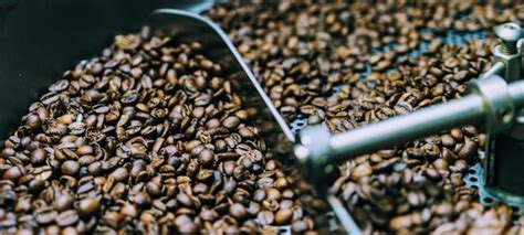 Какой кофе лучше: самые вкусные сорта в мире - Бізнес новини Києва