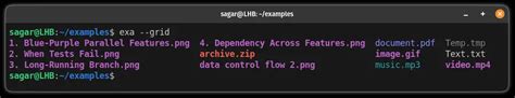 how to use exa command on linux