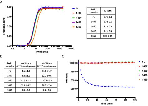C Terminal Truncation Complexes Of Swr1 An Sds Gel Of Swr1 C Terminal