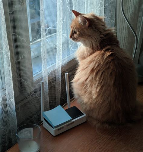 Reroute Your Router Away From The Sun ArmaFone