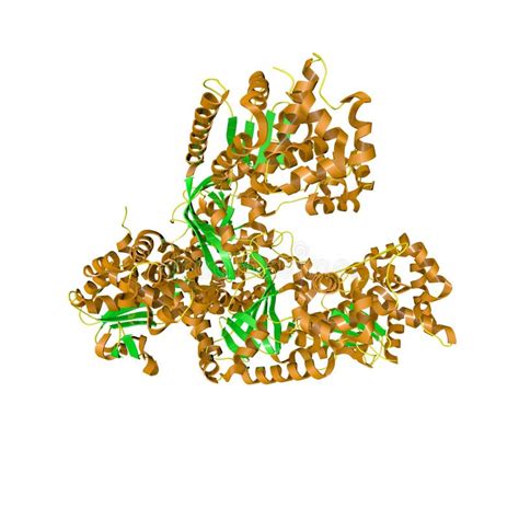 Anthrax Toxin Lethal Factor Crystal Structure Of Toxin Produced By Bacterium Bacillus Anthracis