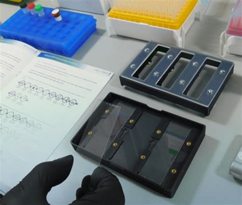 Pepperprint Pepperchip® Peptide Microarrays For Research