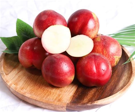 신비복숭아 효능 영양성분과 부장용 그리고 철 및 수확 시기