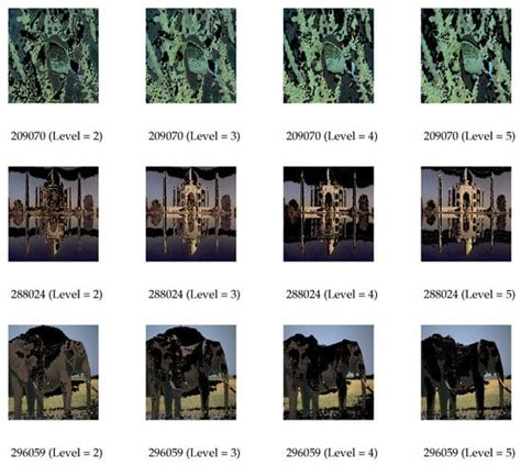 Multi Level Thresholding Color Image Segmentation Using Modified Gray Wolf Optimizer