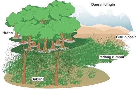 Pengertian Ekosistem Darat Adalah Ciri Ciri Komponen Macam Macam