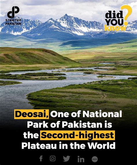 raja rehan sarwar posted on linkedin