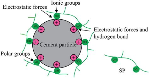 Superplasticizer Which Consists Of Ionic And Polar Groups Interact Download Scientific Diagram