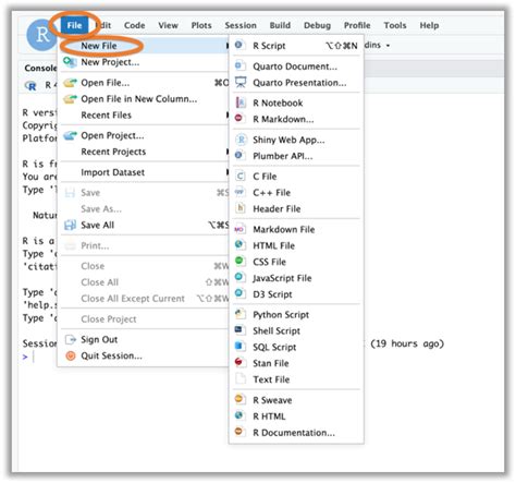 Using RStudio On The Researcher Workbench User Support