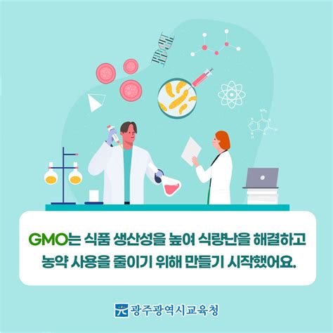 광주광역시교육청 유전자변형 식품 Gmo에 대해 알고 계신가요 유전자 조작으로 생산성을 높이기 위해