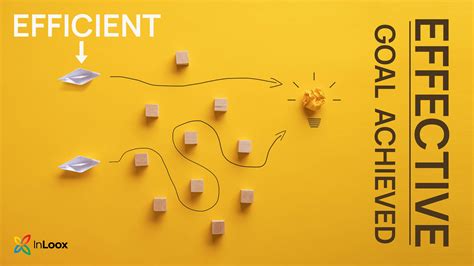 Management Basics What Is The Difference Between Efficiency And