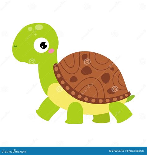 Carapace Turtle Zen Tangle Coloring Book With Shell Tortoise Cartoon Vector Cartoondealer