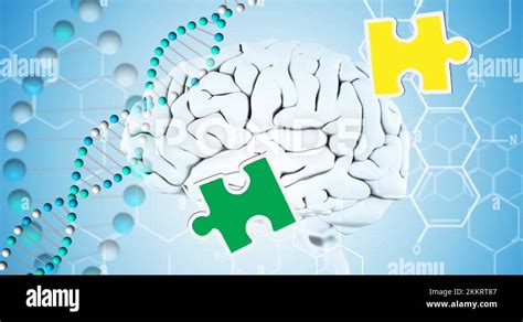 Dna Puzzle Stock Videos Footage HD And 4K Video Clips Alamy