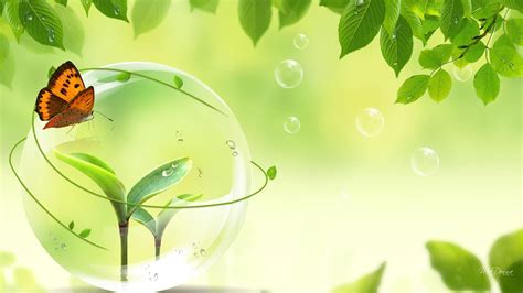 Фон для занятий по биологии фото и картинки Abrakadabra Fun