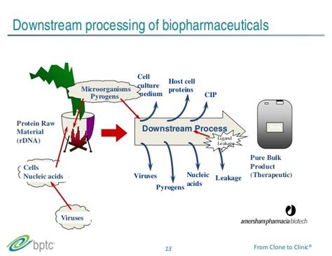 Introduction To Bioprocessing Sample Slides
