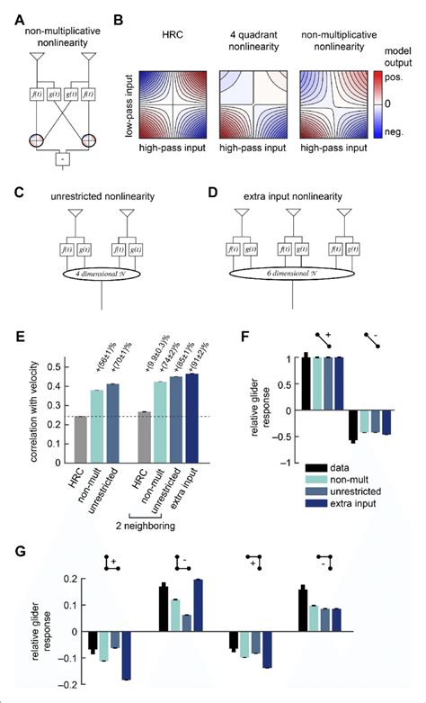 Several Biologically Motivated Generalizations Of The Motion Estimator