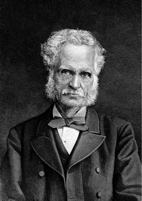 What Is Batesian Mimicry Gulo In Nature