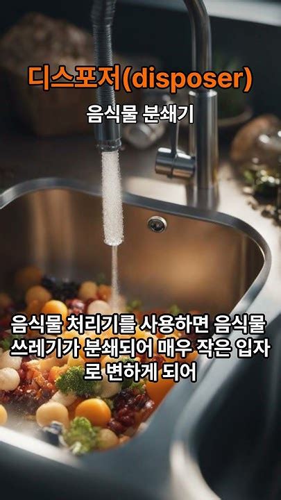 디스포저 소개 동네 김반장 디스포저 대구경북 설치수리철거이전설치 Youtube