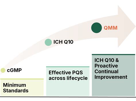 Nsfs Quality Management Maturity Assessment Tool Nsf
