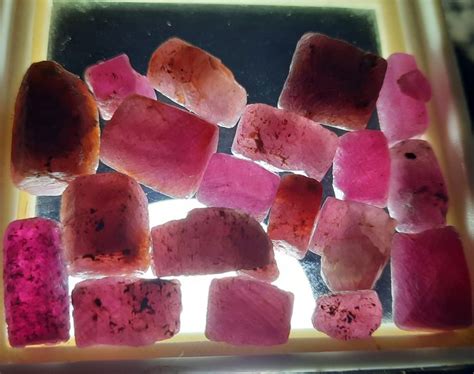 Cts Untreated Ruby Rough G Catawiki