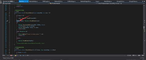 生成绑定代码，如果代码里有intptr会报错 · Issue 494 · Ourpalmilruntime · Github