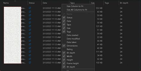 how to know if image is bitmap or metafile or oth adobe product