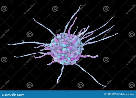 A Dendritic Cell Interacting With A T Cell Stock Illustration CartoonDealer Com