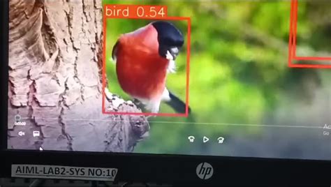 Karicharla Devendra Phani On Linkedin Object Detection Aimer Society Artificial Intelligence