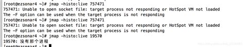 Jmap的用法：java 内存映像工具 Jmap Heap Pidjmap Heap详解 Csdn博客