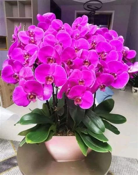 Wonderful Perfect Facebook