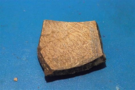 Coconut Ring 4 Steps With Pictures Instructables