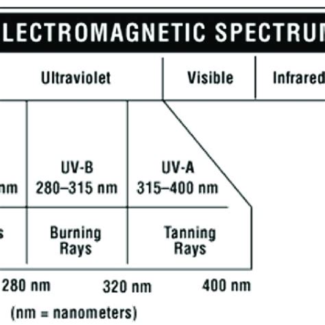 Typical Schematic Of Spectroradiometer Adapted From 52 54 Download