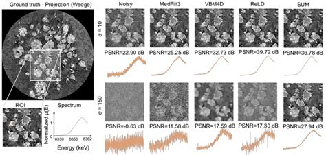visual comparison of various methods under different noise conditions