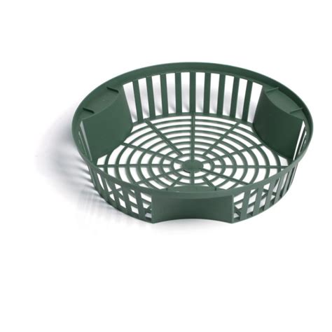 Луковици ️ с високо качество богато разнообразие гарантиран произход отлична опаковка Бърза