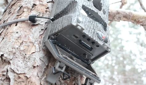 Choosing The Right SD Card For Your Trail Camera Trail Cam Junkie