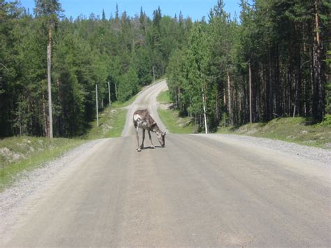 Kuusamo – Our world heritage