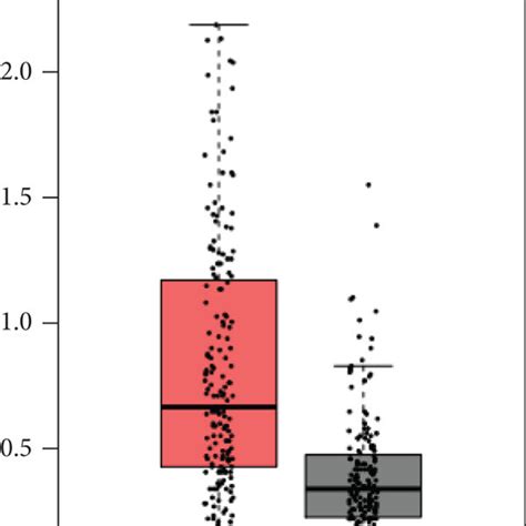 Ngf Was Increased In Pc Tissues And Cell Lines A Differentially Download Scientific Diagram