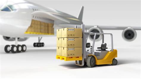 Iata To Review Air Cargo Load Factor Calculations After Project Selfie Revelations The Loadstar