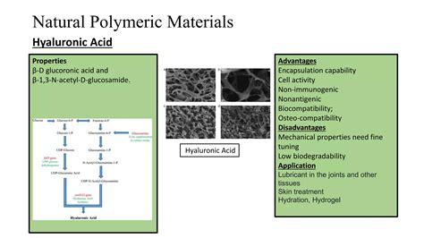 Natural And Synthetic Polymers In Medicine Ppt [autosaved] Pptx