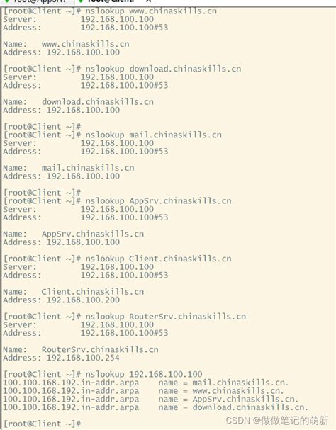 dns 域名解析 csdn博客