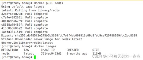 Docker搭建redis集群docker Redis 集群 Csdn博客