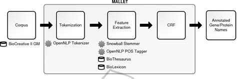 Figure 1 From Recognition Of Geneprotein Names Using Conditional Random Fields Semantic Scholar