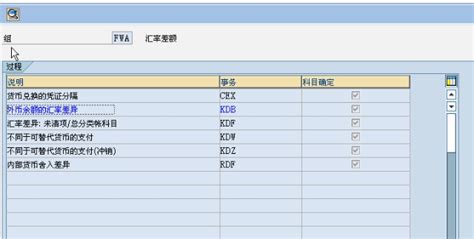 Sap 外币评估 Csdn博客