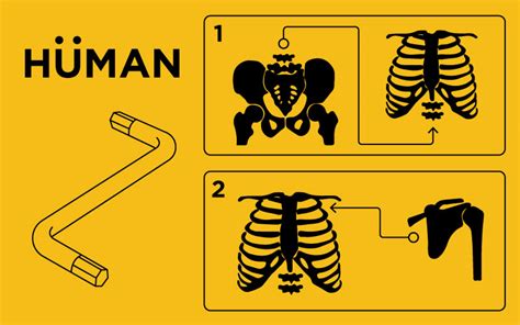 How To Avoid Common Workflow Mistakes In Your Next Web Development Project 女 White Lion Blog